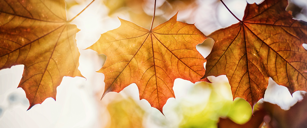 Top Beauty and Wellness Trends for Fall 2019